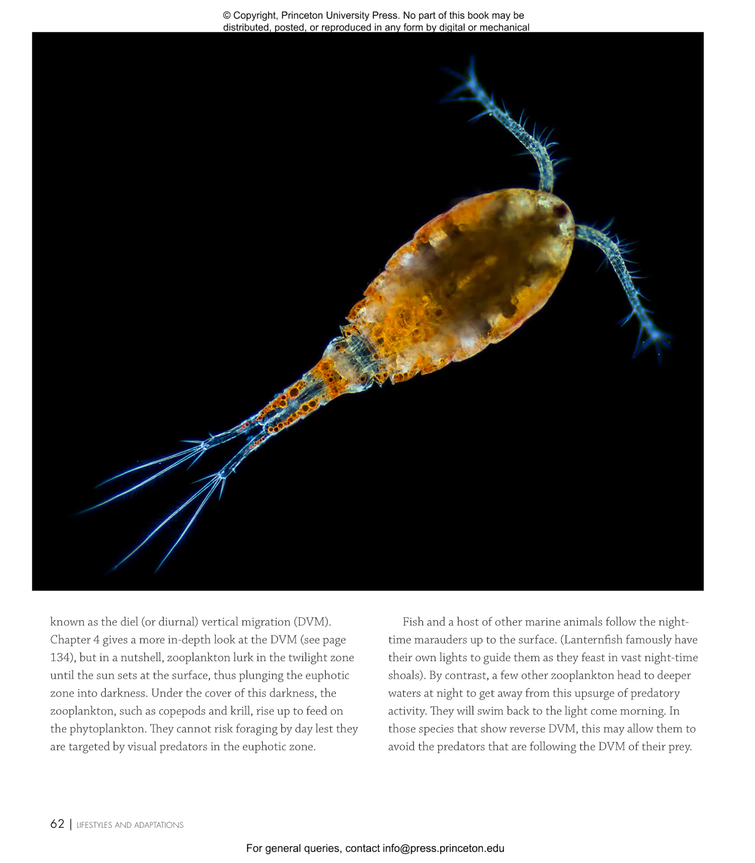 Plankton | Princeton University Press