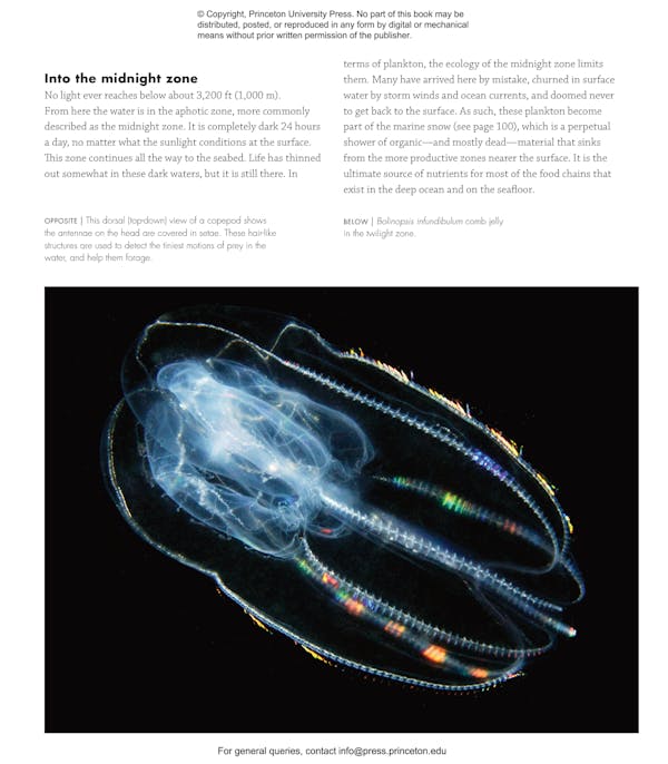 Plankton | Princeton University Press