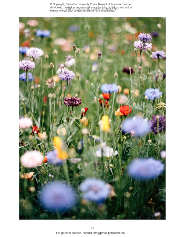 Color in Nature | Princeton University Press