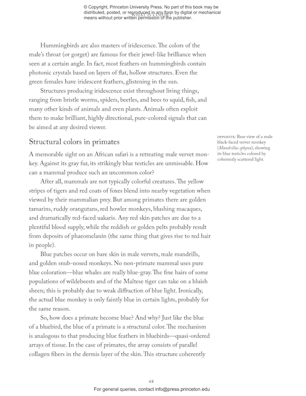 Color in Nature | Princeton University Press
