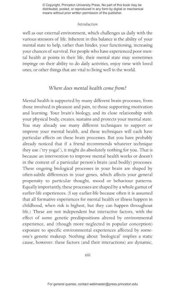 The Balanced Brain Princeton University Press