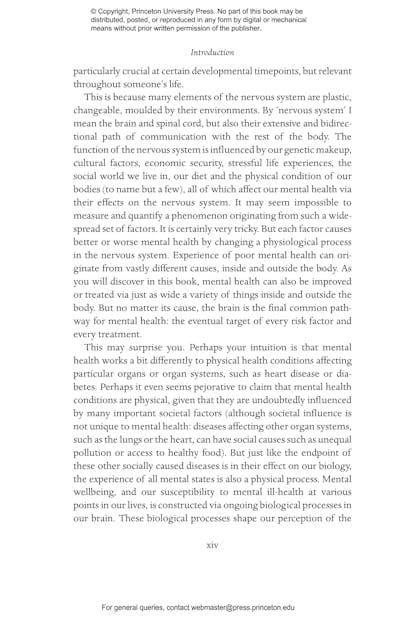 The Balanced Brain | Princeton University Press