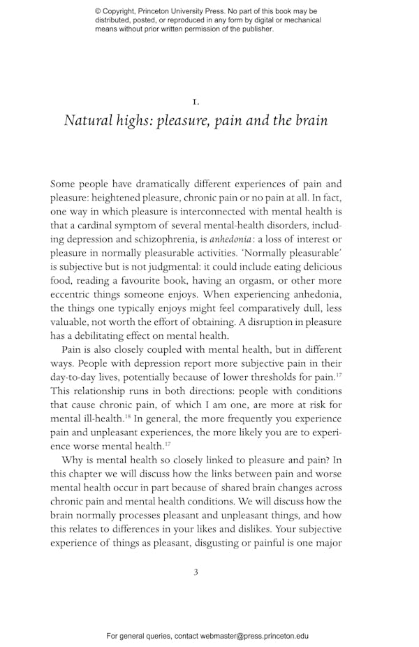 The Balanced Brain | Princeton University Press