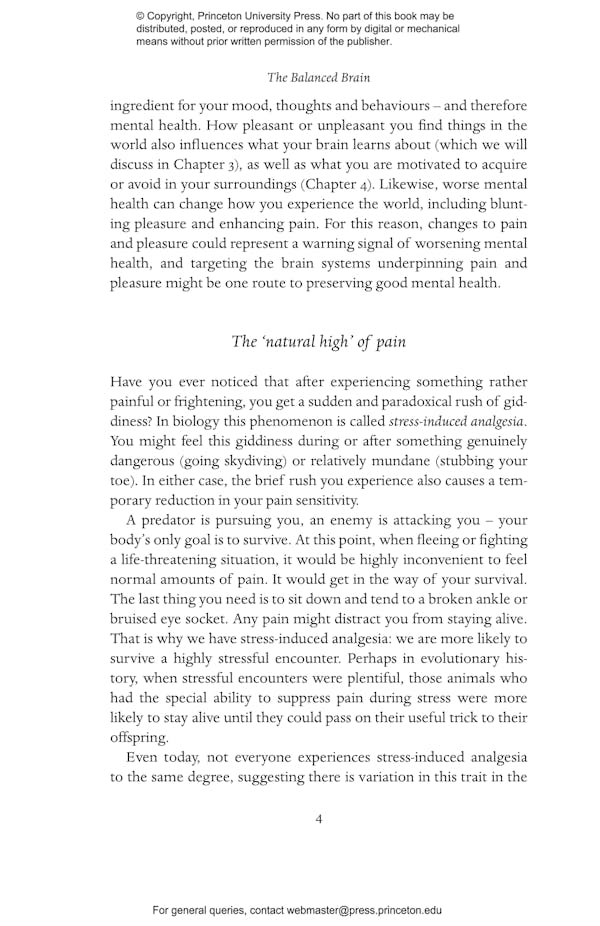 The Balanced Brain | Princeton University Press