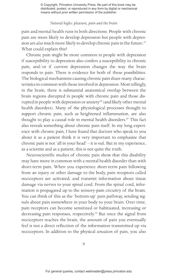 The Balanced Brain | Princeton University Press