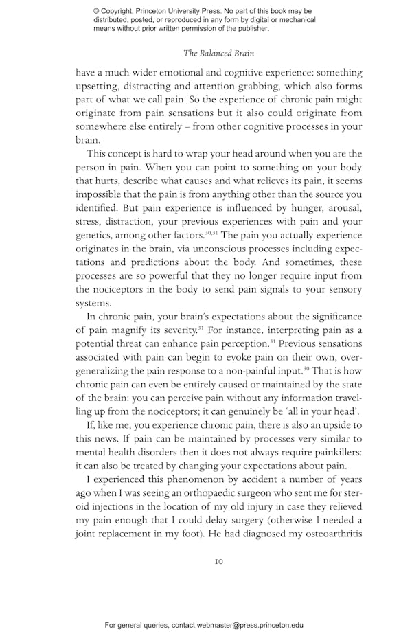 The Balanced Brain | Princeton University Press