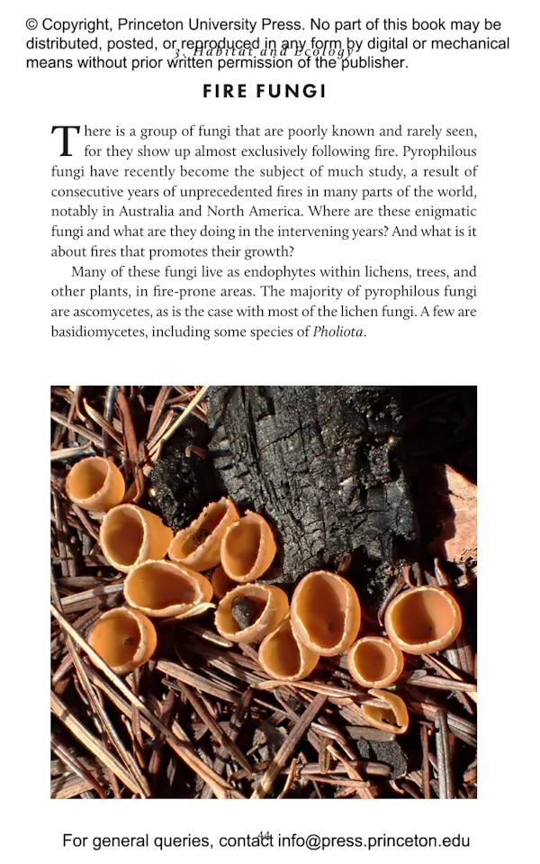 The Little Book of Fungi | Princeton University Press