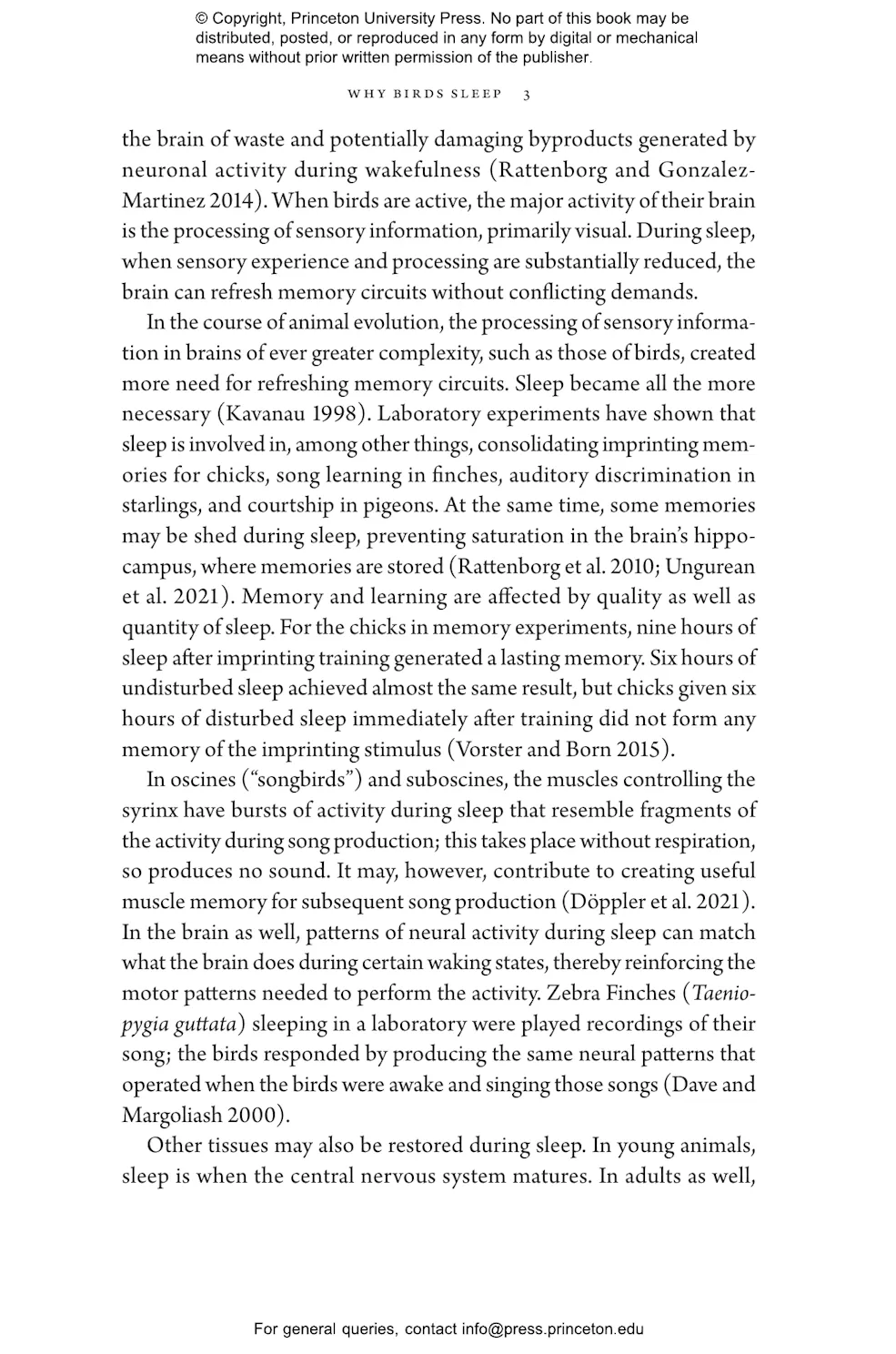 Birds at Rest | Princeton University Press