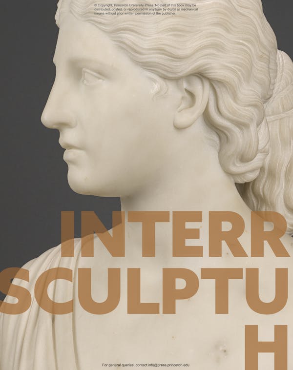 The Shape of Power | Princeton University Press