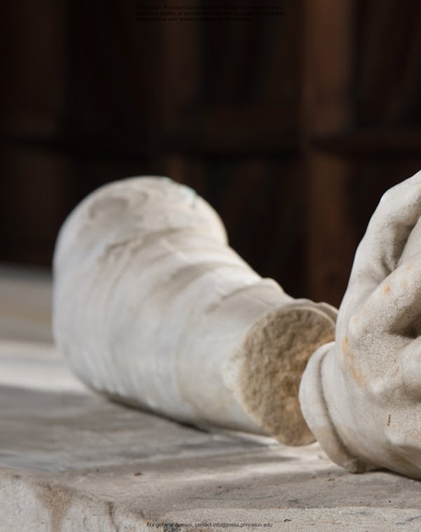 The Shape of Power | Princeton University Press