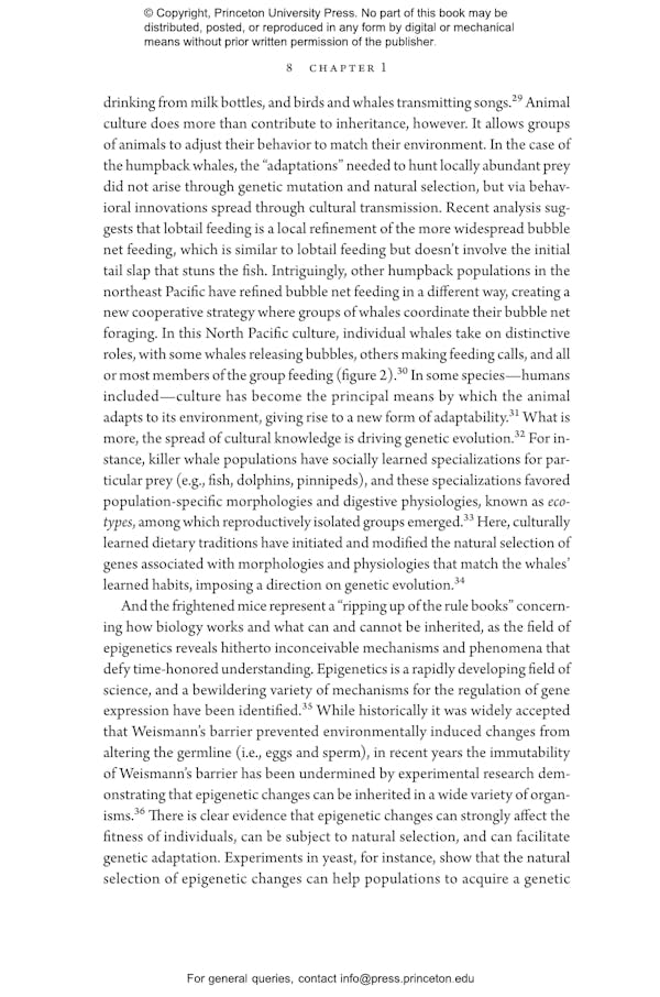 Evolution Evolving | Princeton University Press