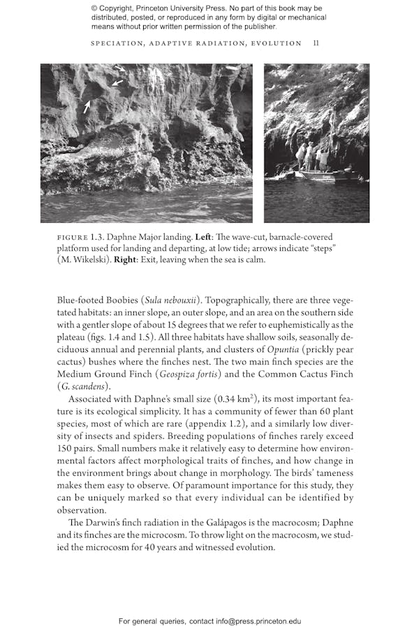 40 Years of Evolution | Princeton University Press