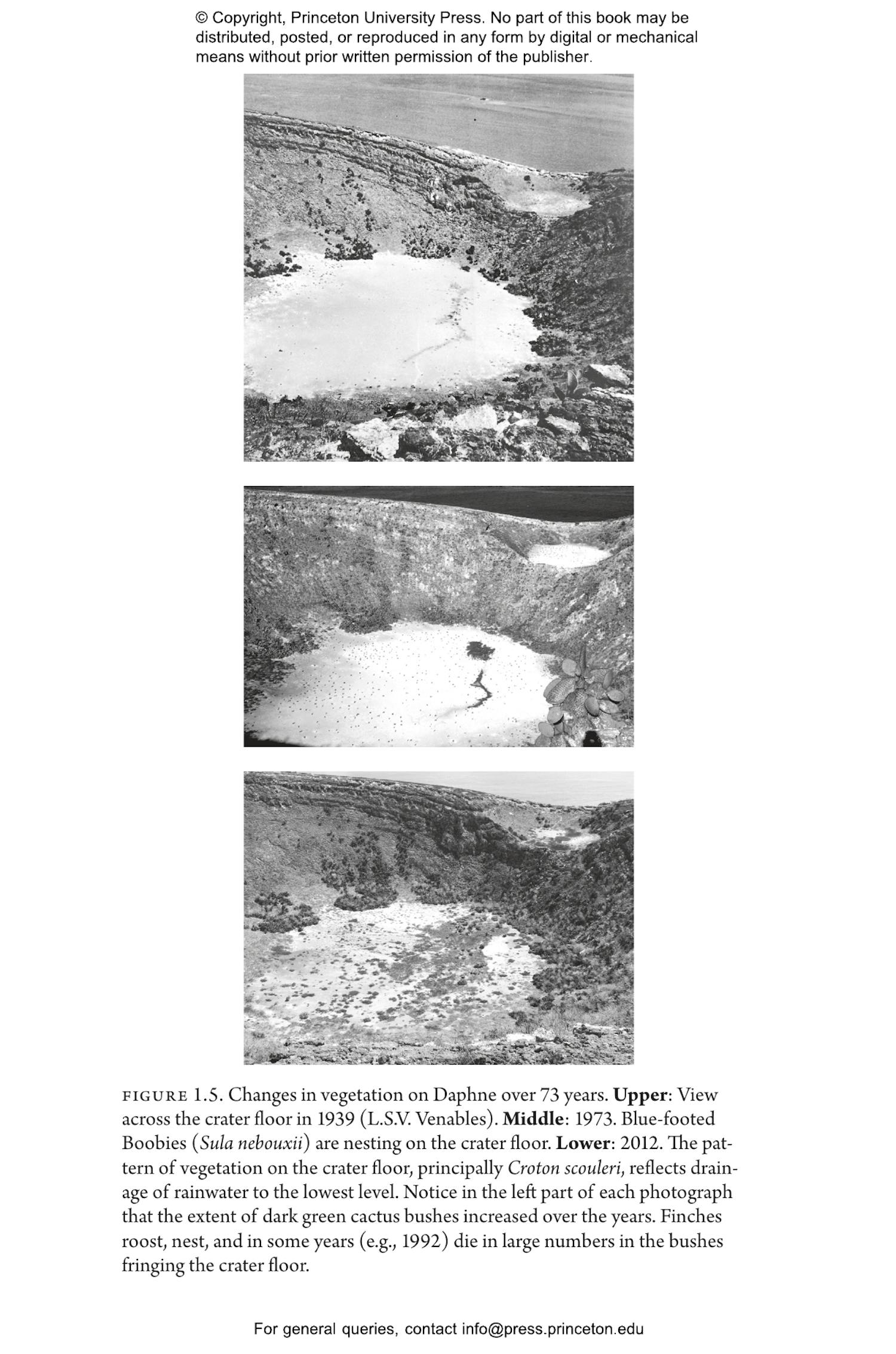 40 Years of Evolution | Princeton University Press