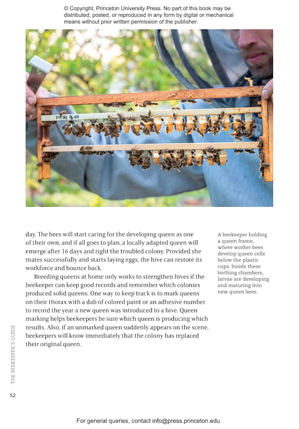 The Beekeeper's Guide | Princeton University Press