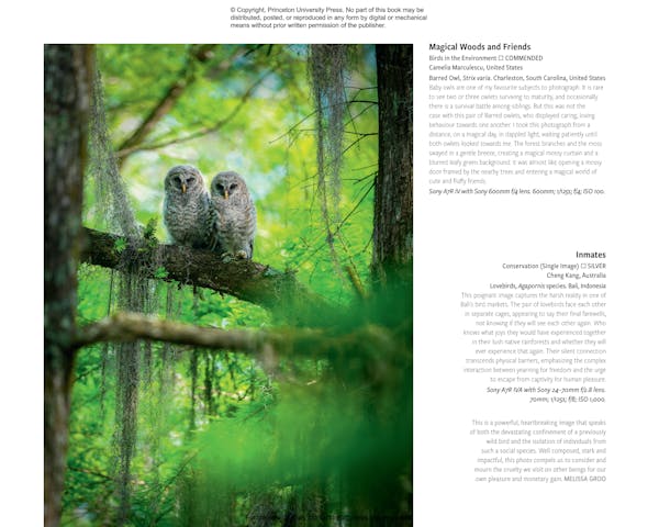 Bird Photographer of the Year | Princeton University Press