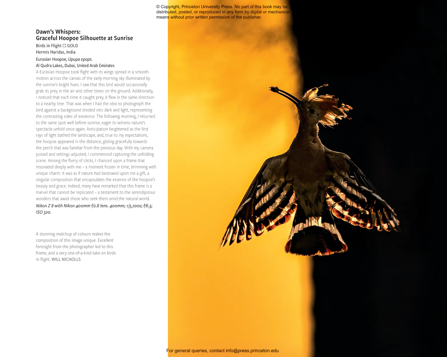 Bird Photographer of the Year | Princeton University Press