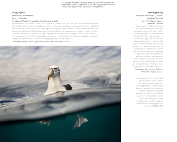 Bird Photographer of the Year | Princeton University Press