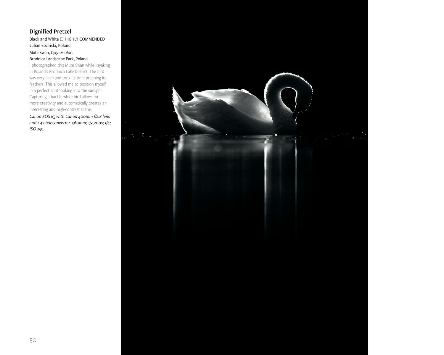 Bird Photographer of the Year | Princeton University Press