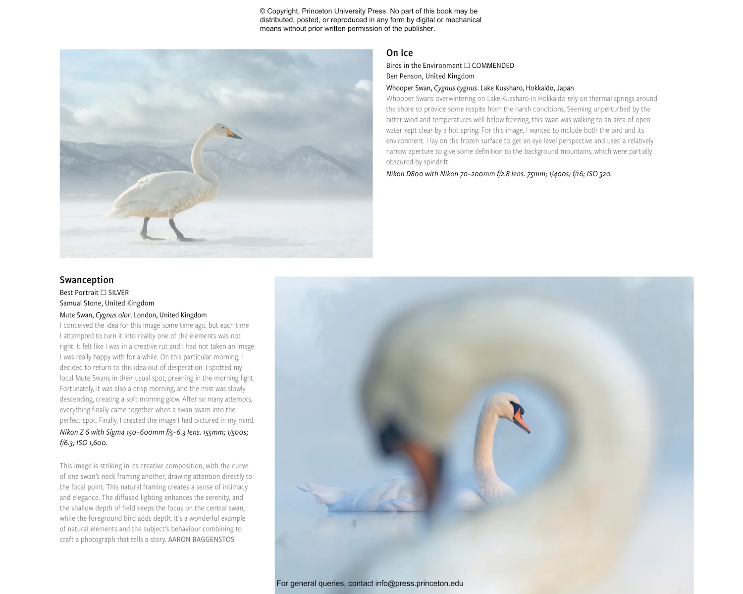 Bird Photographer of the Year | Princeton University Press