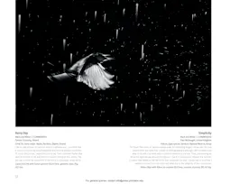 Bird Photographer of the Year | Princeton University Press