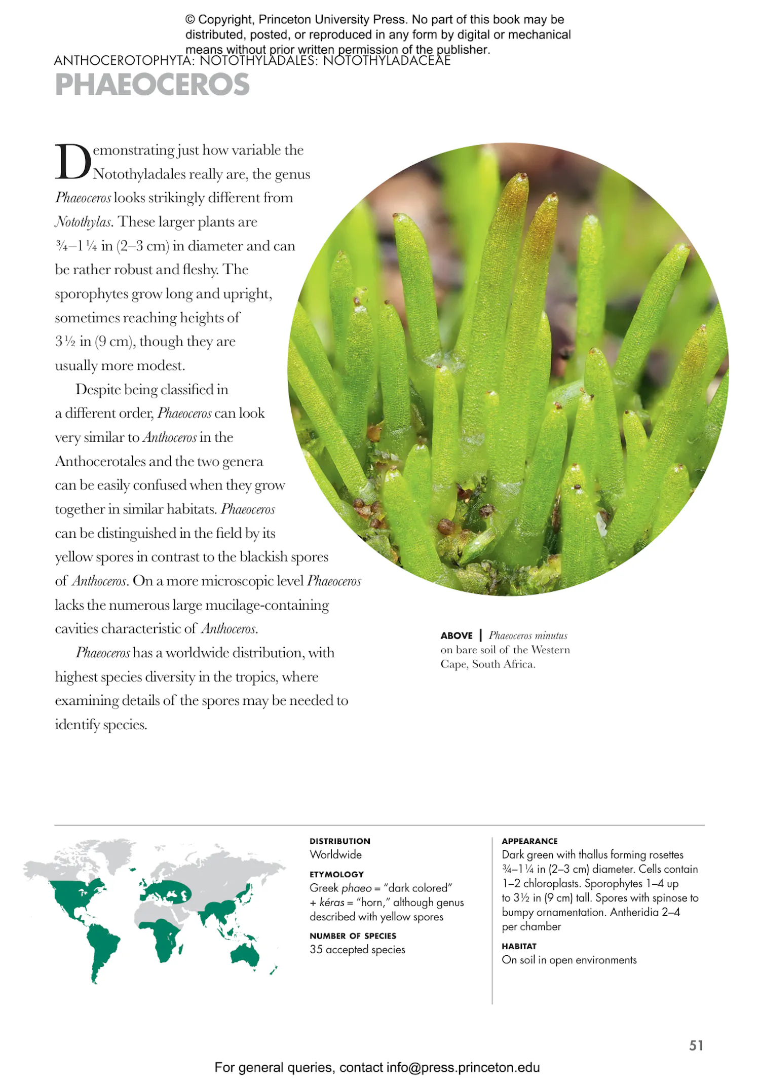 Mosses, Liverworts, and Hornworts of the World | Princeton University Press