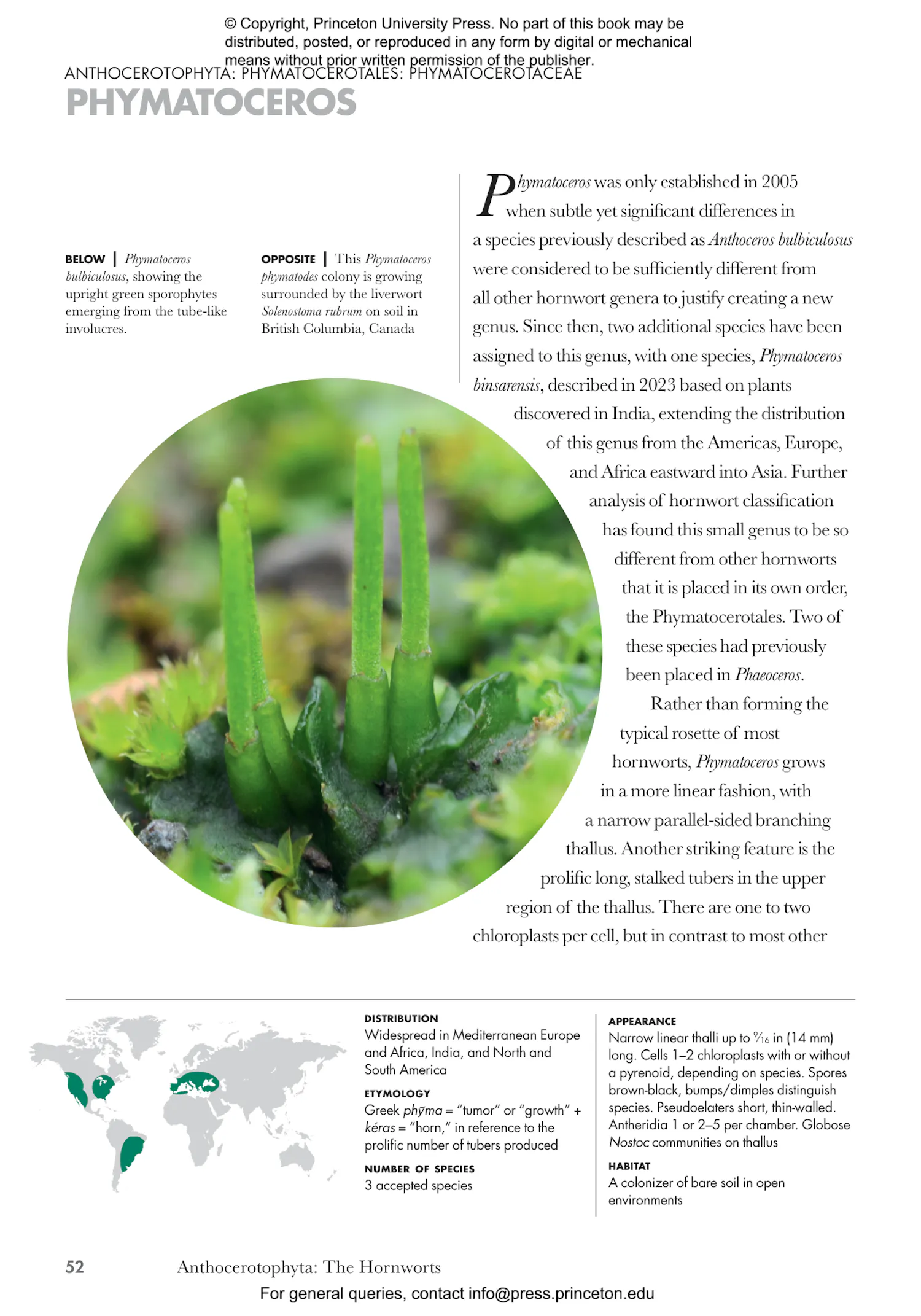Mosses, Liverworts, and Hornworts of the World | Princeton University Press