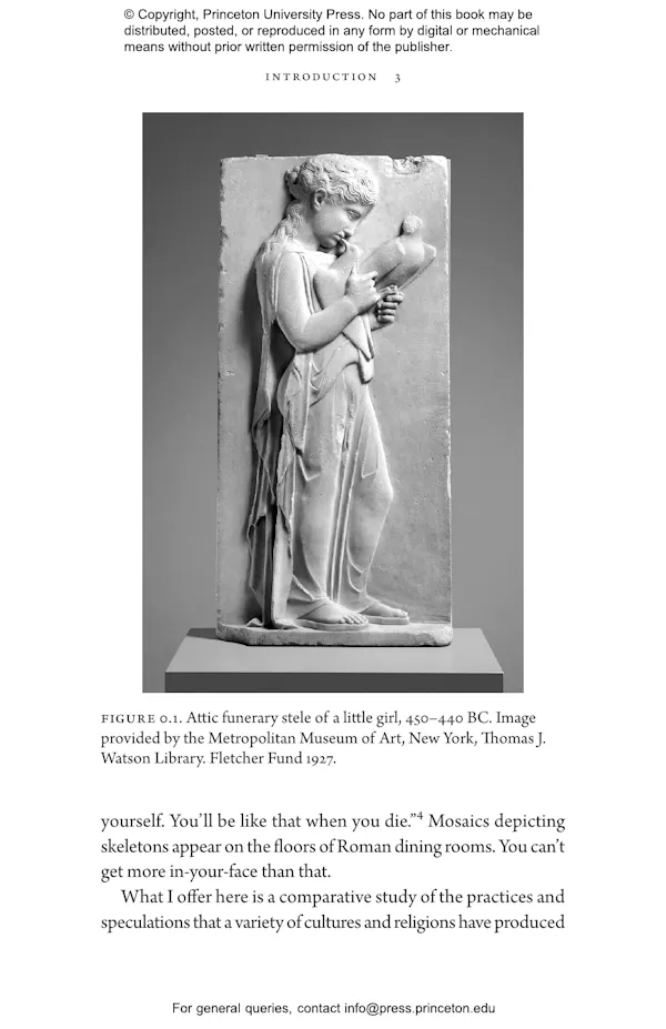What to Expect When You're Dead | Princeton University Press
