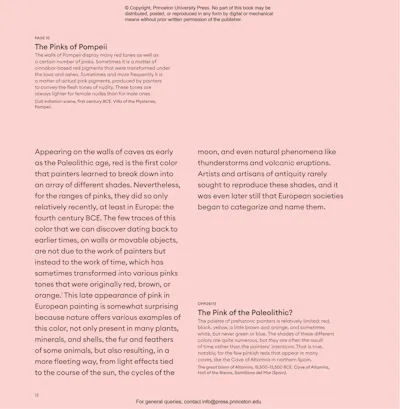 Pink | Princeton University Press