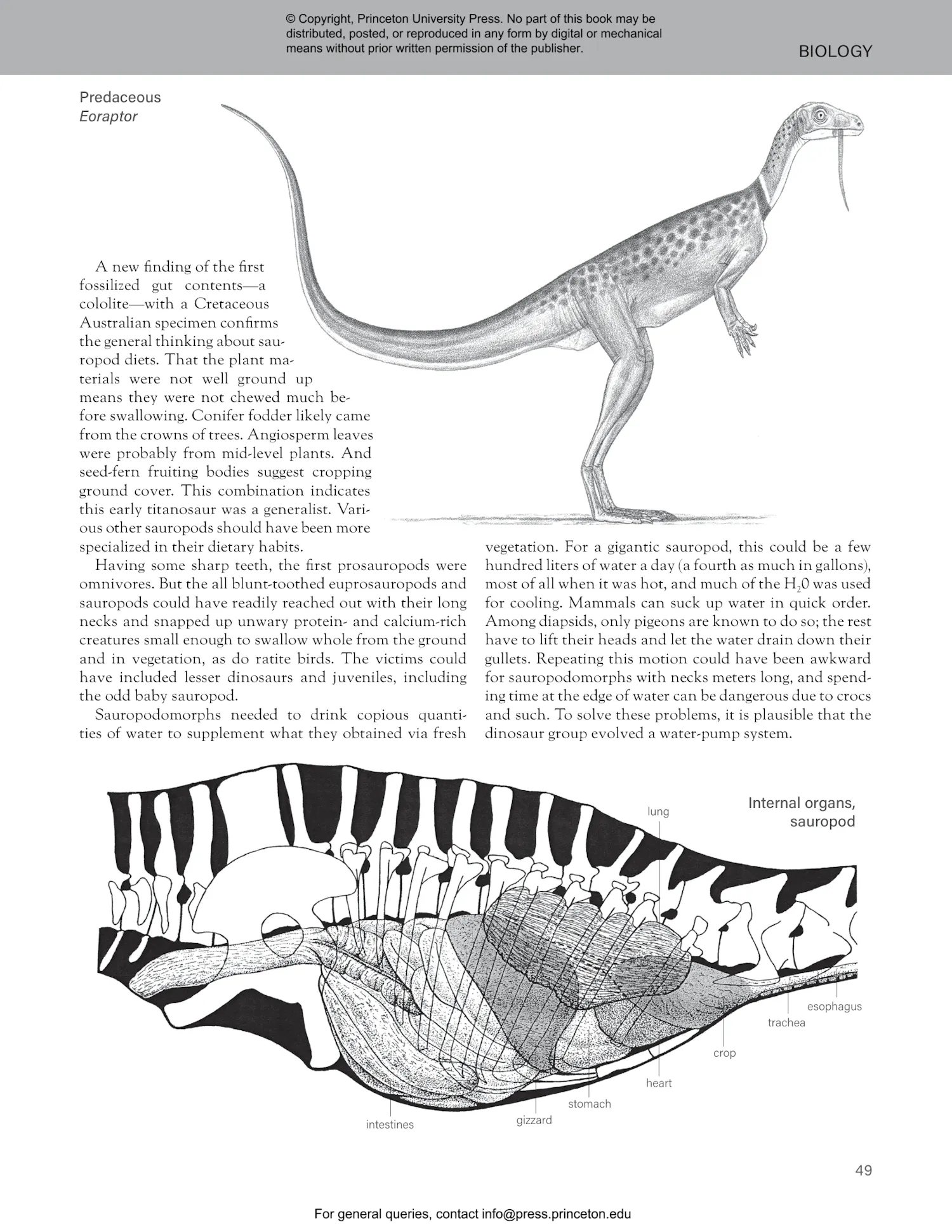 The Princeton Field Guide to Sauropod and Prosauropod Dinosaurs ...