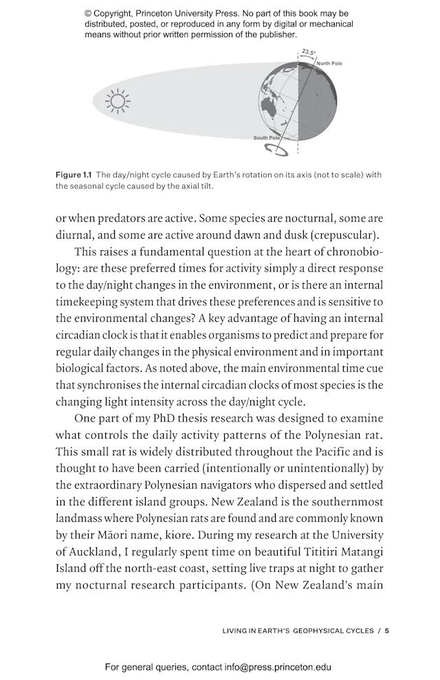 Life in Sync | Princeton University Press