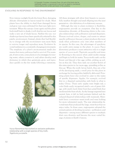 The Princeton Field Guide to Mesozoic Plants | Princeton University Press