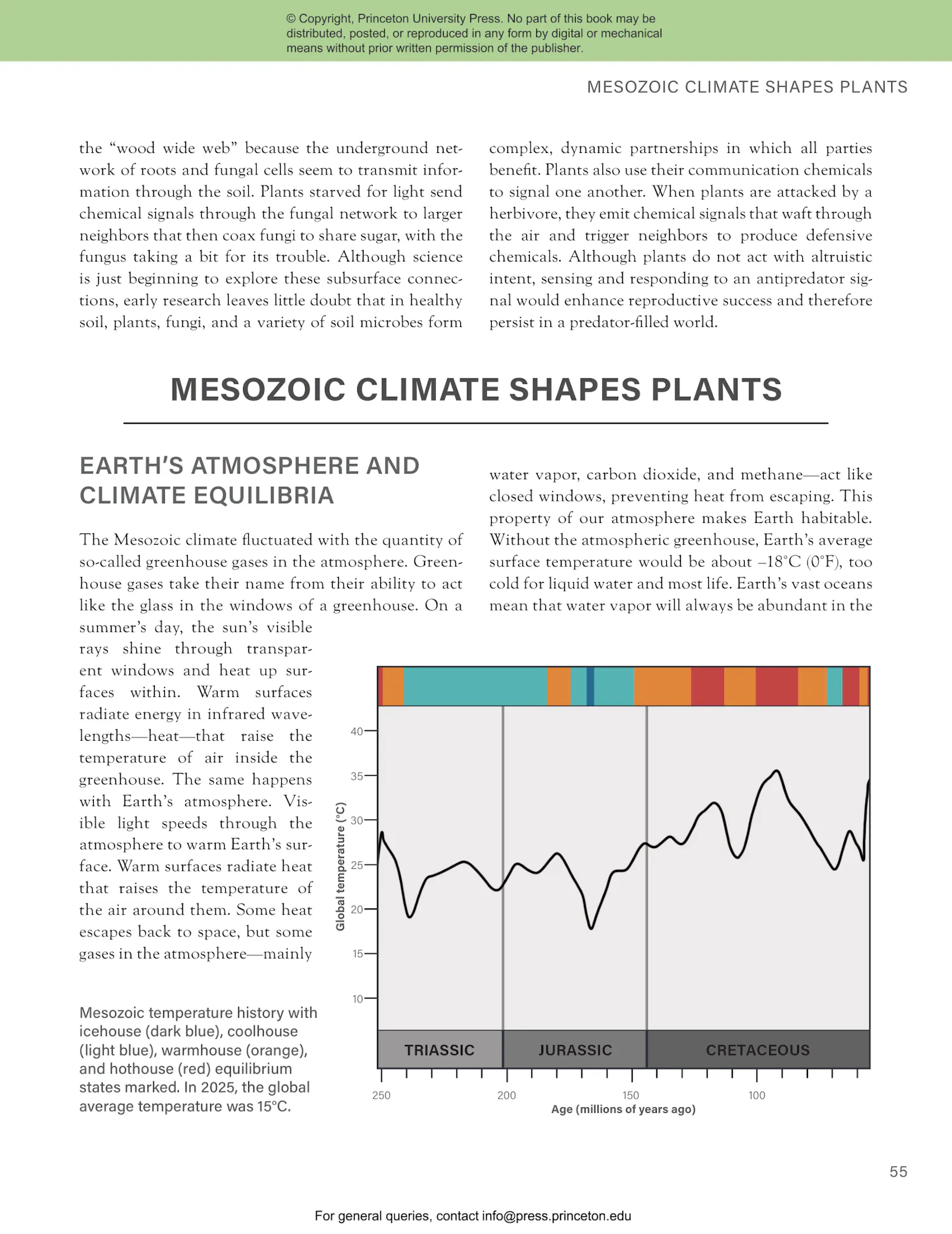 The Princeton Field Guide to Mesozoic Plants | Princeton University Press