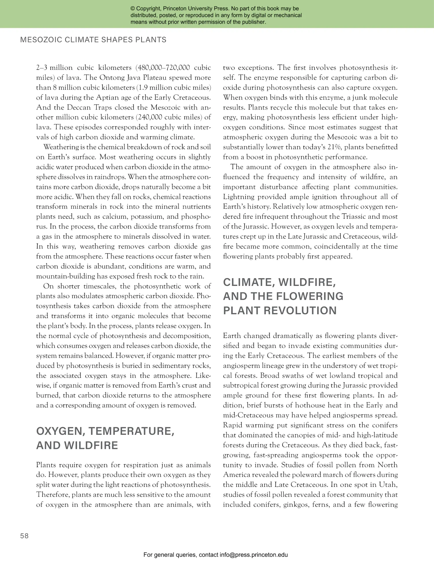 The Princeton Field Guide to Mesozoic Plants | Princeton University Press