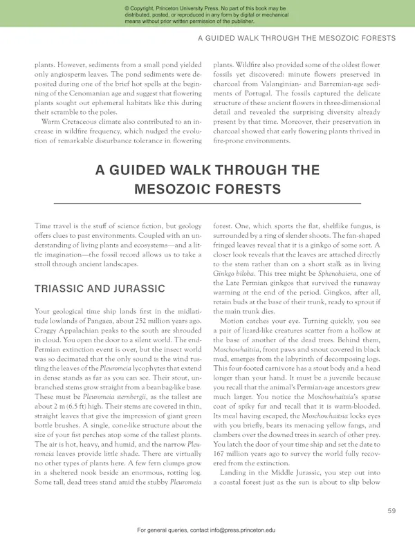 The Princeton Field Guide to Mesozoic Plants | Princeton University Press