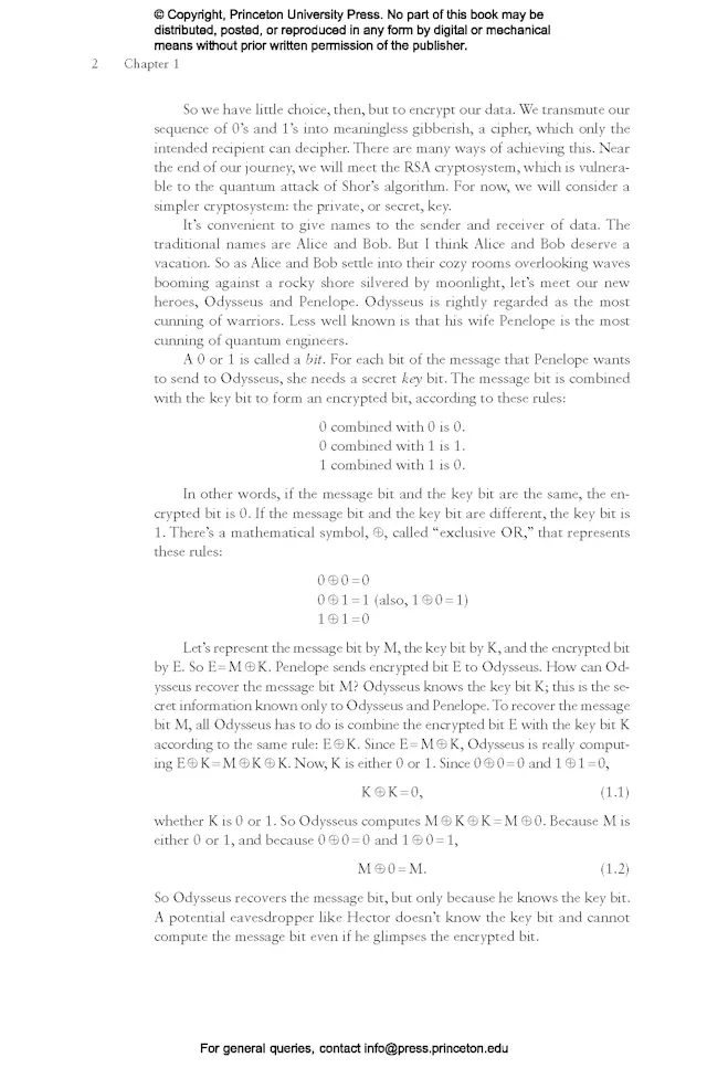 The Joy of Quantum Computing | Princeton University Press