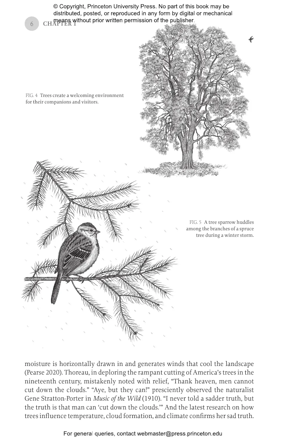 The Hidden Company That Trees Keep | Princeton University Press