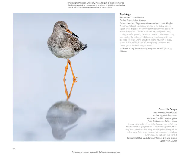 Bird Photographer of the Year | Princeton University Press