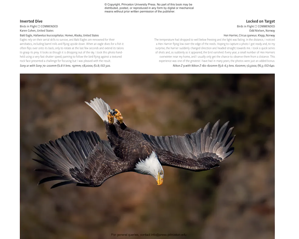 Bird Photographer of the Year | Princeton University Press
