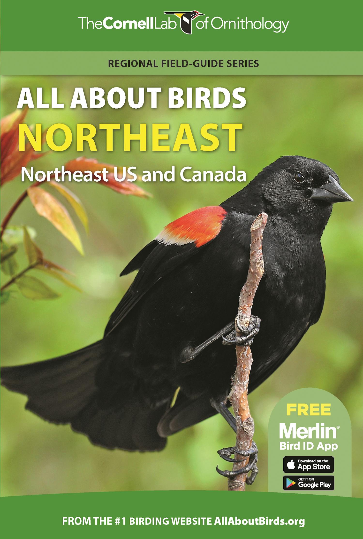 Birds of Eastern North America | Princeton University Press