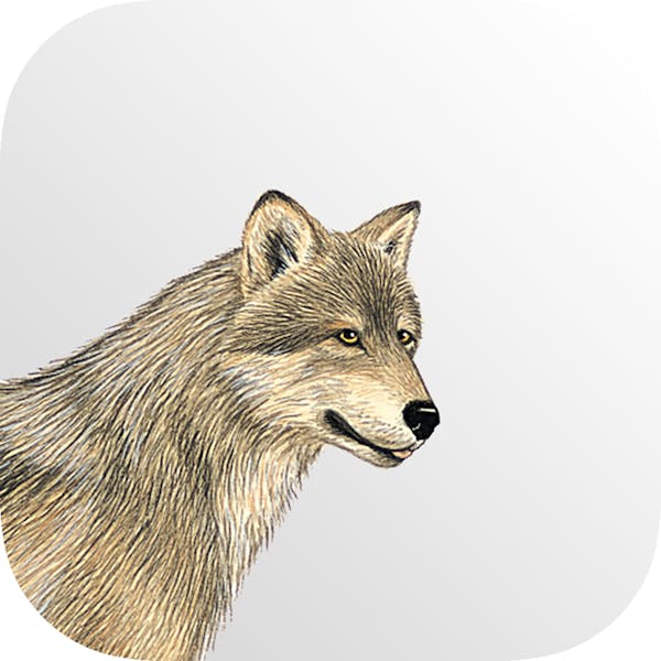 Mammals of North America (App) | Princeton University Press