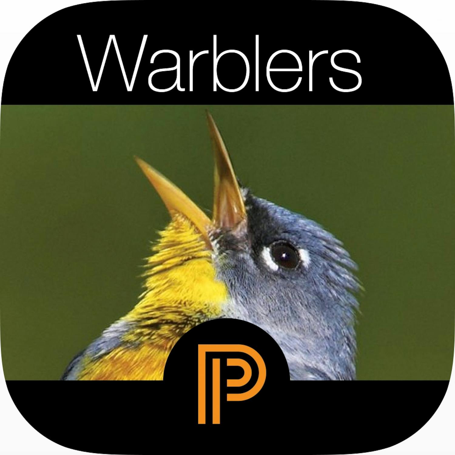 The Warbler Guide | Princeton University Press