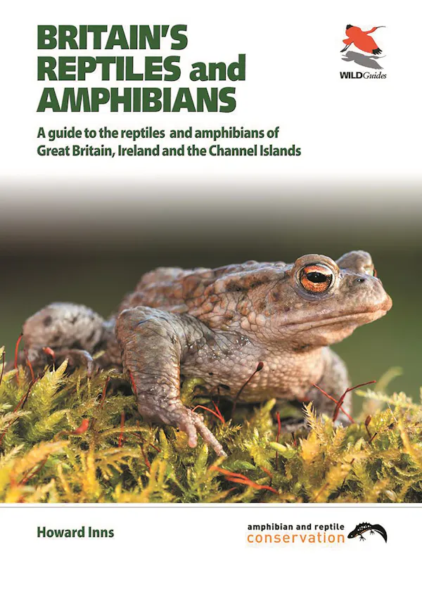 Turtles of the World | Princeton University Press