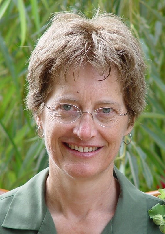 Taves, Ann | Princeton University Press