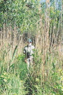 Mynott, Jeremy | Princeton University Press