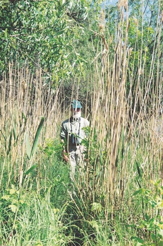 Mynott, Jeremy | Princeton University Press