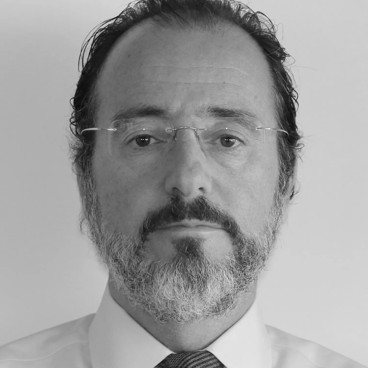 Castelló, José R. | Princeton University Press
