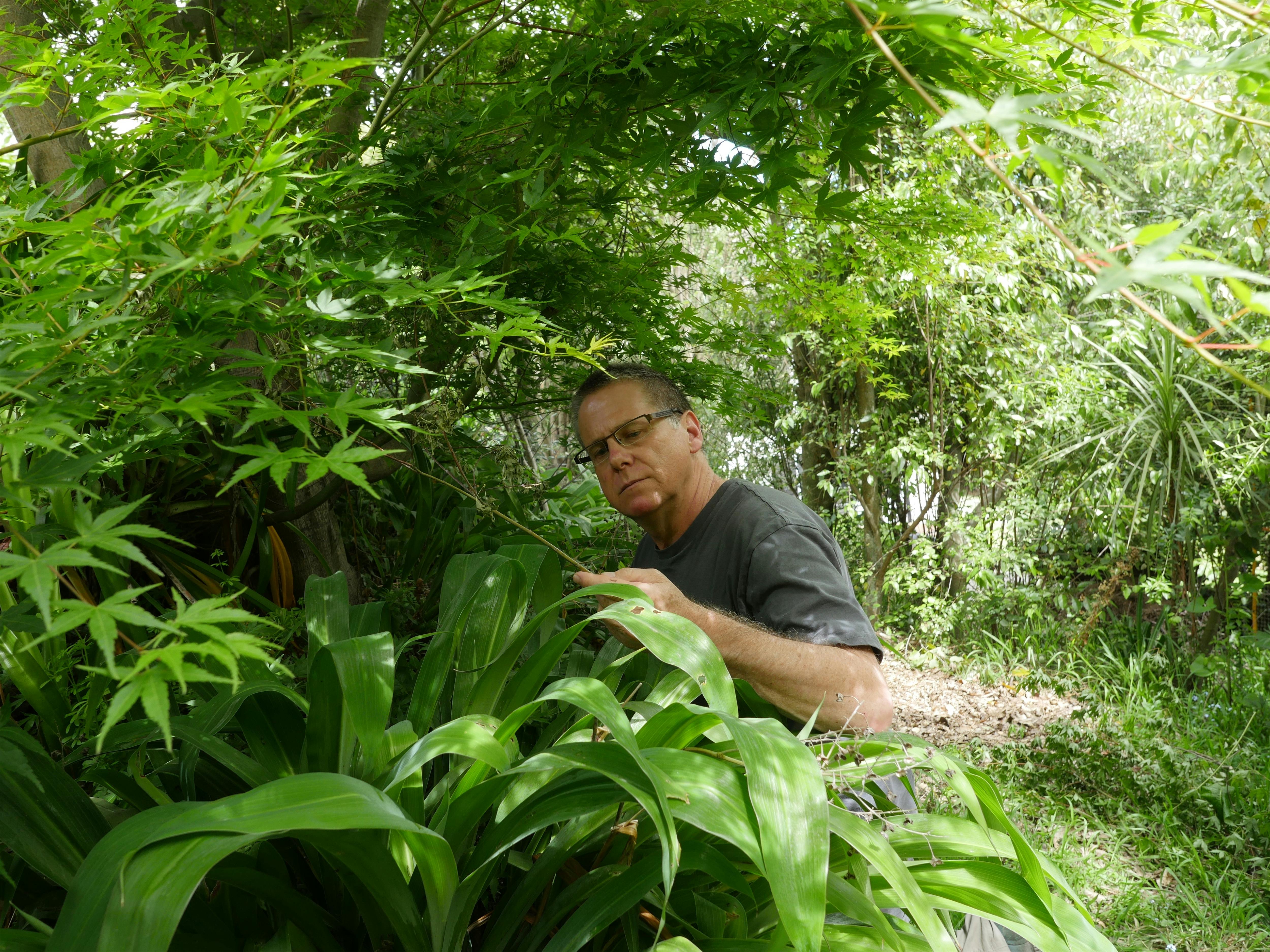 Pollard, Simon | Princeton University Press