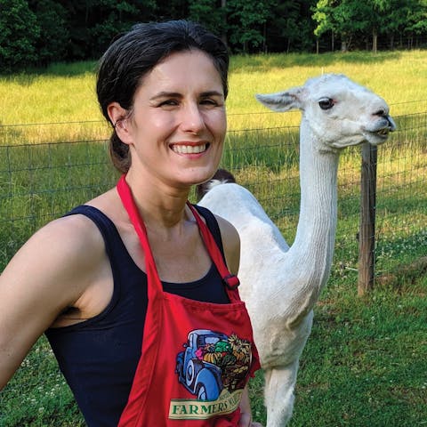 Mattern, Susan | Princeton University Press